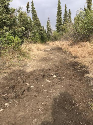 Muddy sections easy to avoid on Wickersham Dome summit trail | Outdoors ...