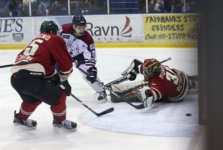 Ice Dogs cruise past Wilderness in playoff rematch | Ice Dogs ...