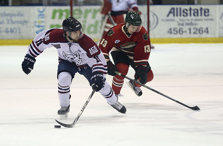 Ice Dogs cruise past Wilderness in playoff rematch | Ice Dogs ...