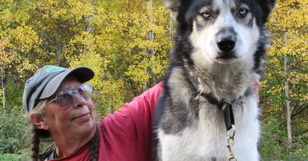 Another starving wolf | In The Bush | newsminer.com