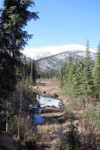 Angel Creek trail makes for a great first hike of the season | Outdoors ...