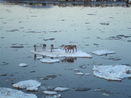 Alaska Daily Life | Featured | newsminer.com