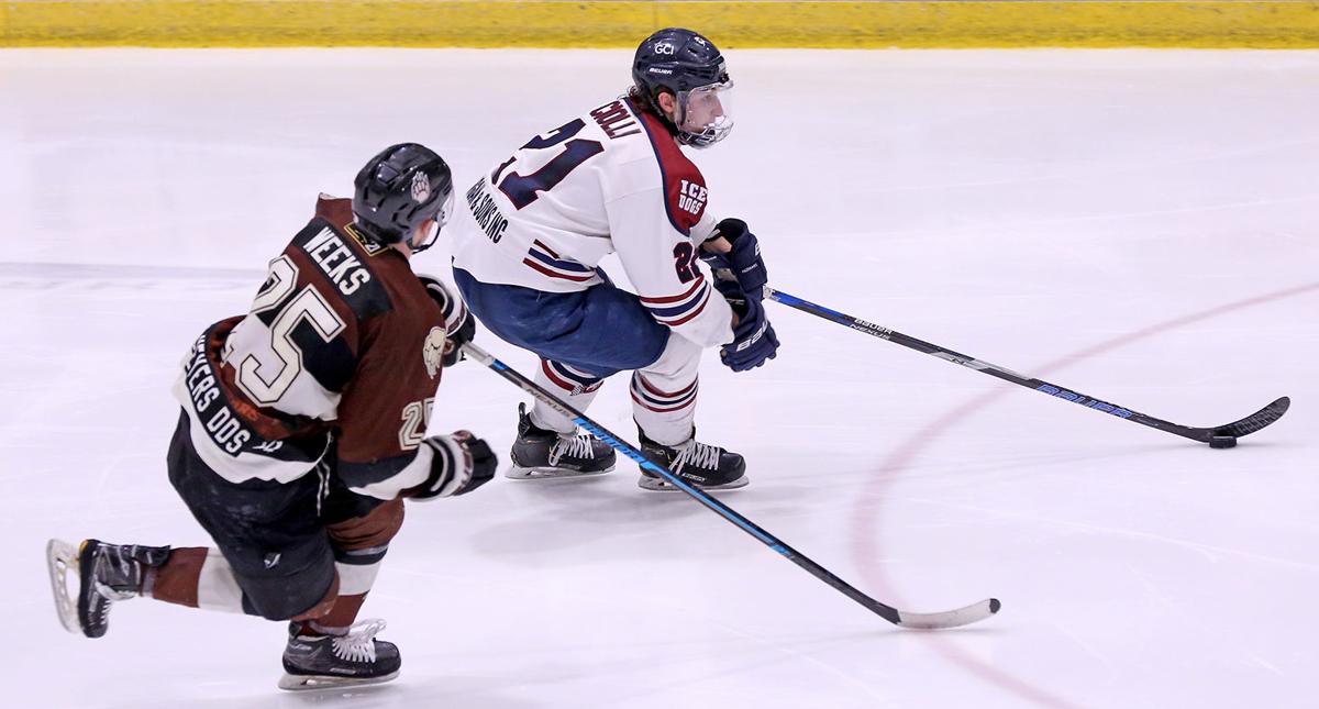 Ice Dogs end season with shutout | Ice Dogs | newsminer.com