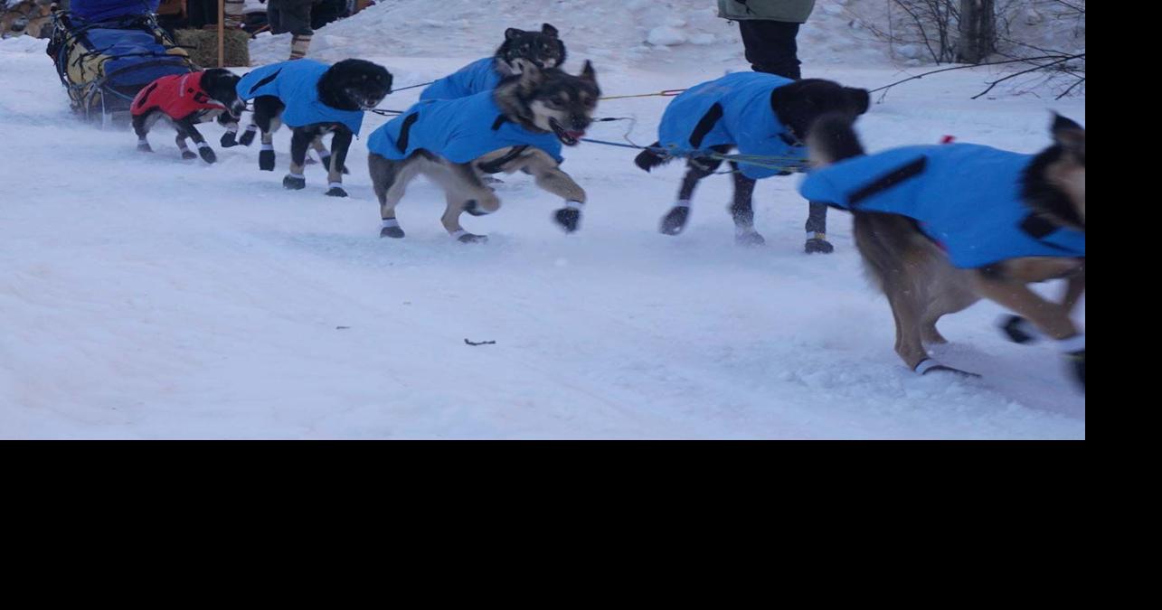 Turner wins tight Solstice 100 sled dog race; Shawcroft first in ...