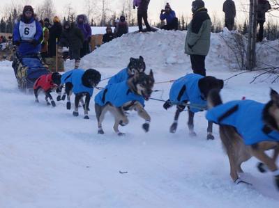 Turner wins tight Solstice 100 sled dog race; Shawcroft first in ...