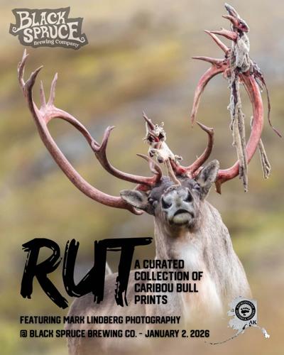 black spruce brewing