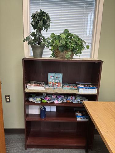 Fairbanks Courthouse hosts Foster Care Awareness Open House | Local ...