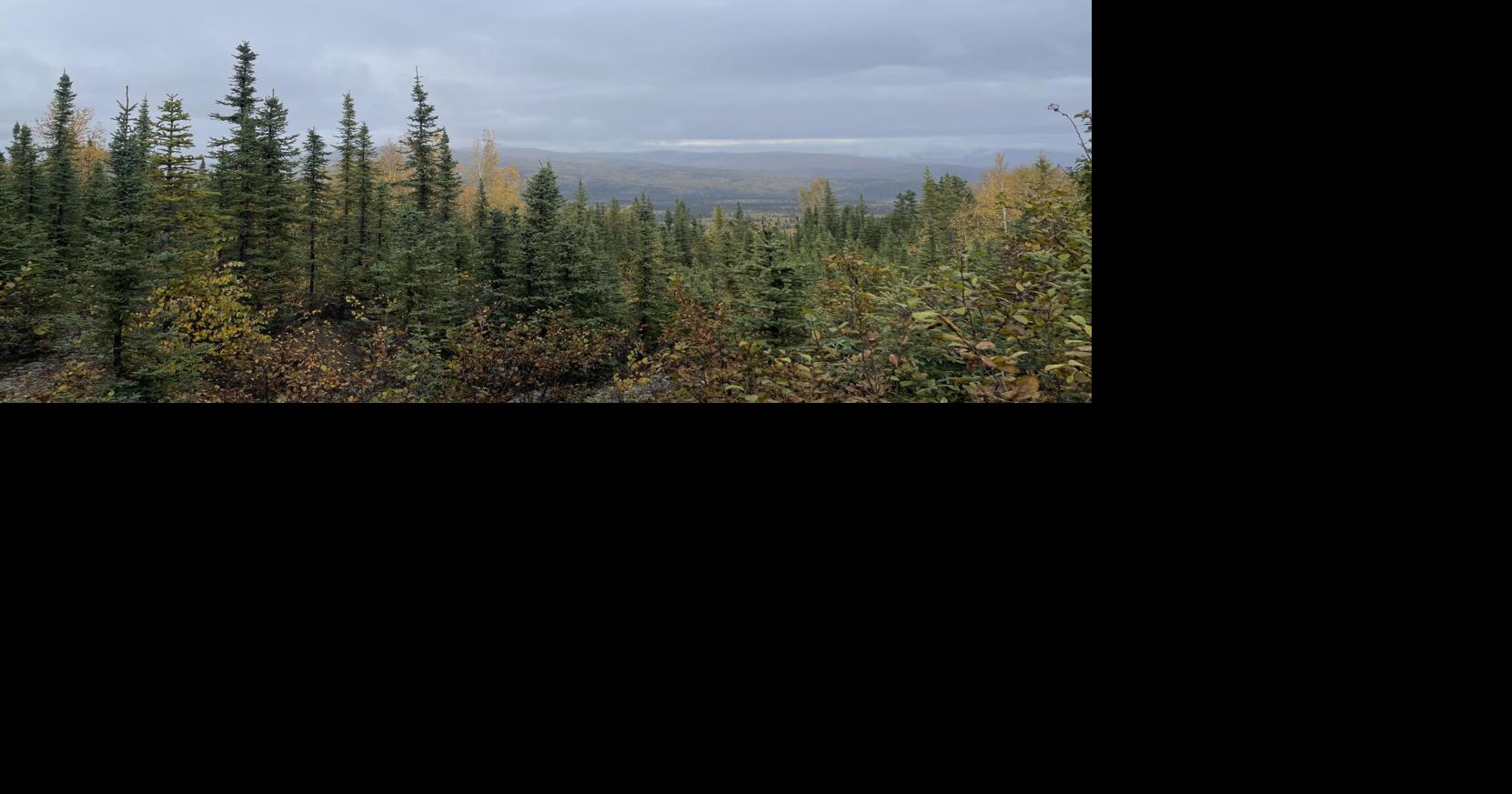 September showers surpass norms while the first frost is still on hold ...
