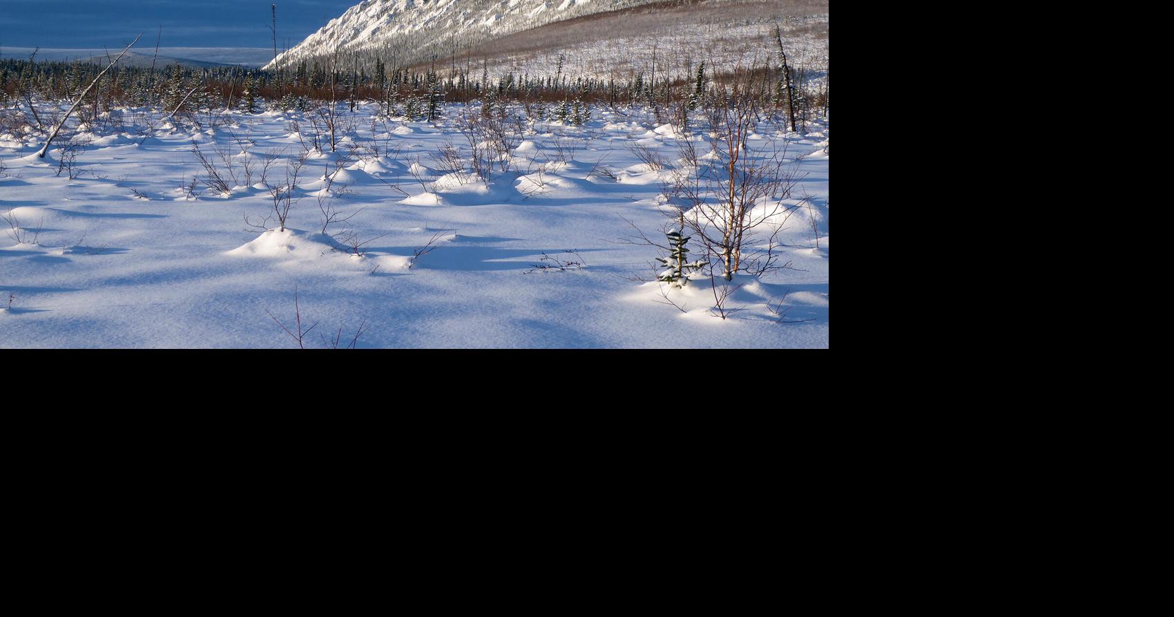 The man who preserved Alaska: Jimmy Carter | Alaska Science Forum ...