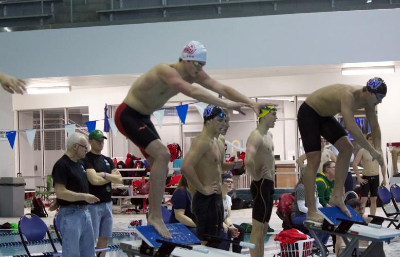 Fairbanks native Logan Fox swimming to NCAA success | Local | newsminer.com