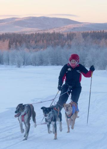 No putting around for skijorers at North Star Golf Club | Outdoors ...