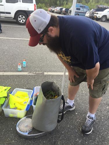 Volunteers dig up and dispose of invasive dandelions in Denali National ...
