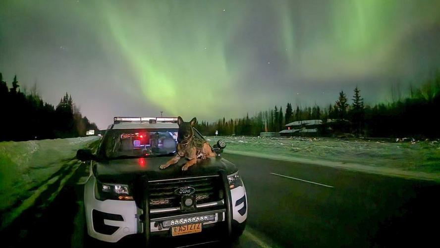 Troopers mourn loss of K9 Lenox | Local News | newsminer.com