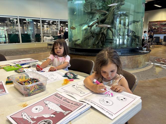 Kids Day makes a splash at fish hatchery | Local News | newsminer.com