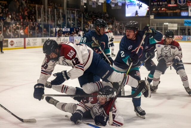 Heated series sees Ice Dogs swept by Wolverines | Ice Dogs | newsminer.com