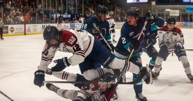 Ice Dogs and Wolverines set for rivalry series between two of the ...