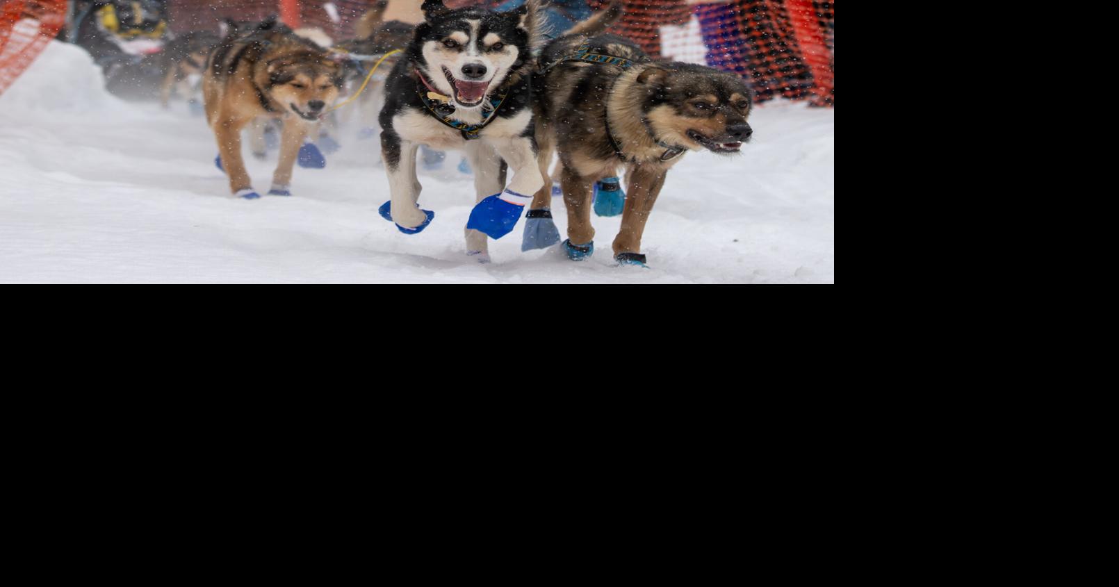 Joe Weber wins YQA 200, Jeff Deeter leads YQA 550 | Yukon Quest ...