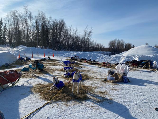 Team traverse hurdles on the Serum Run | Outdoors | newsminer.com
