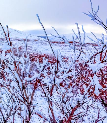Eagle Summit snow | Photo Of The Day | newsminer.com
