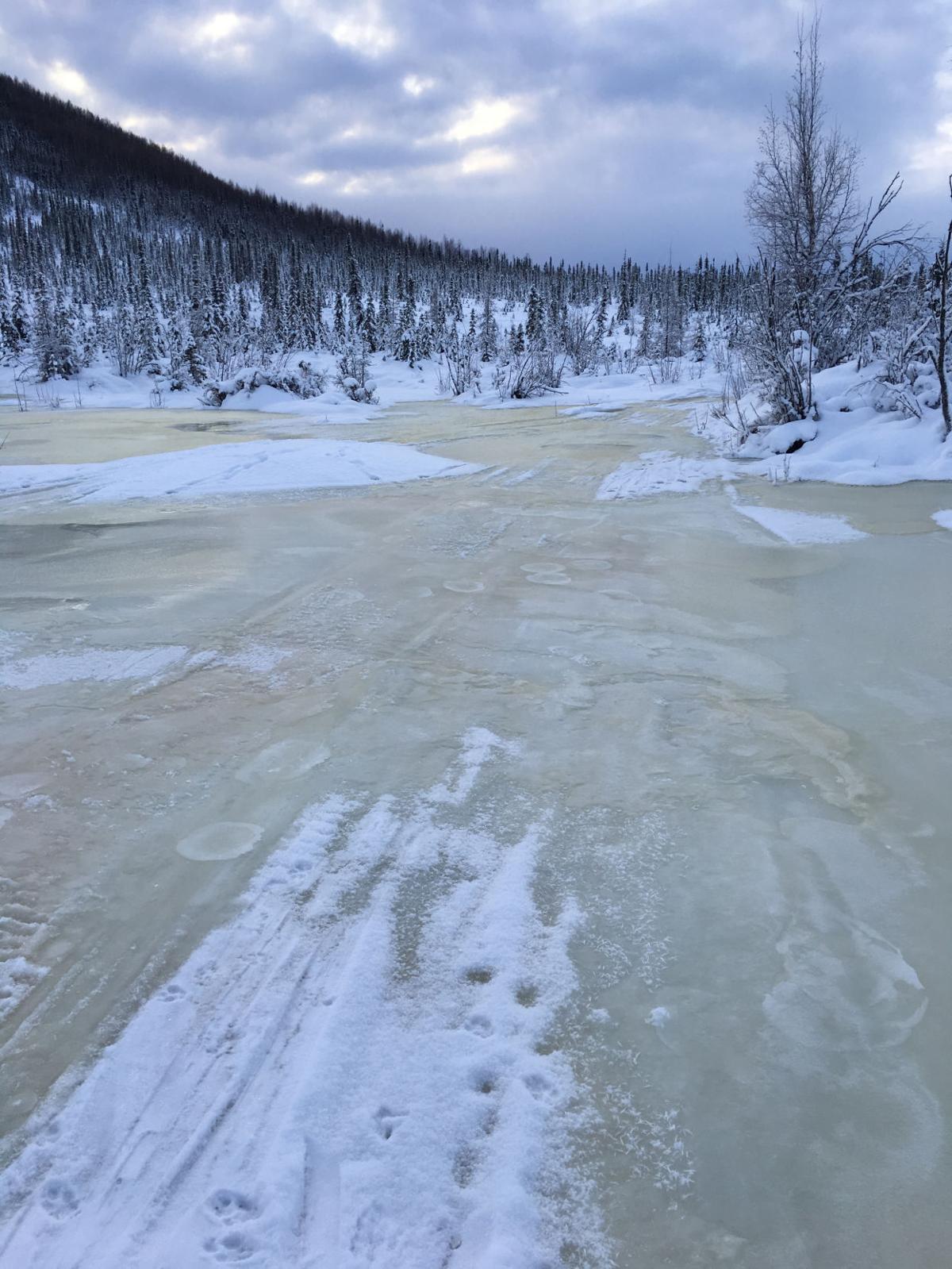 Expect overflow on Colorado Creek trail in Chena Rec area | Outdoors ...
