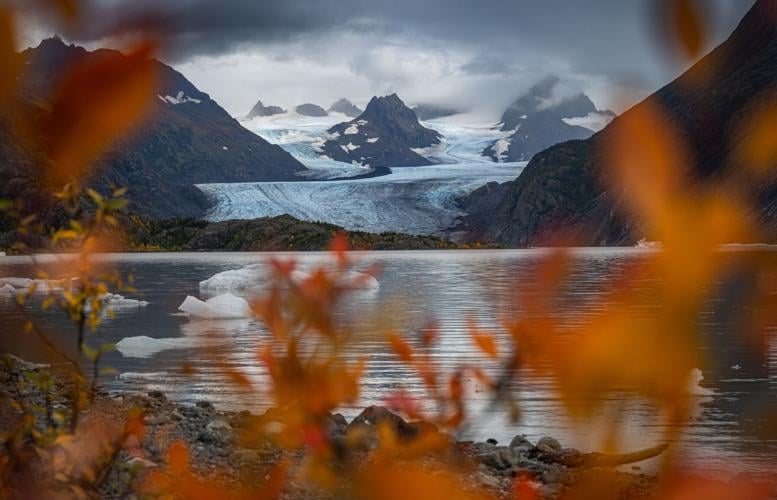 Conservation photographer David Shaw leads hands-on workshops ...