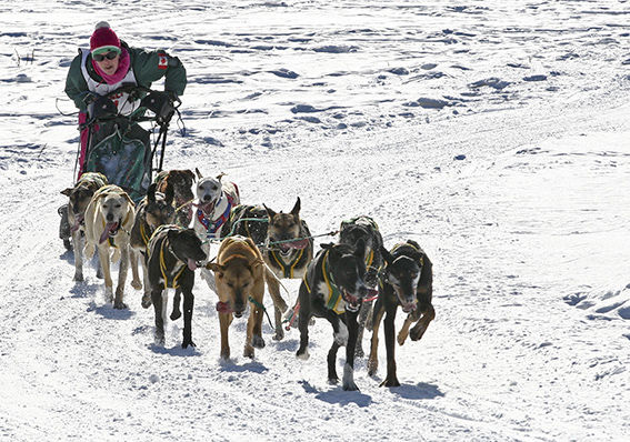 Buddy Streeper takes second straight ONAC title | Local/Community ...
