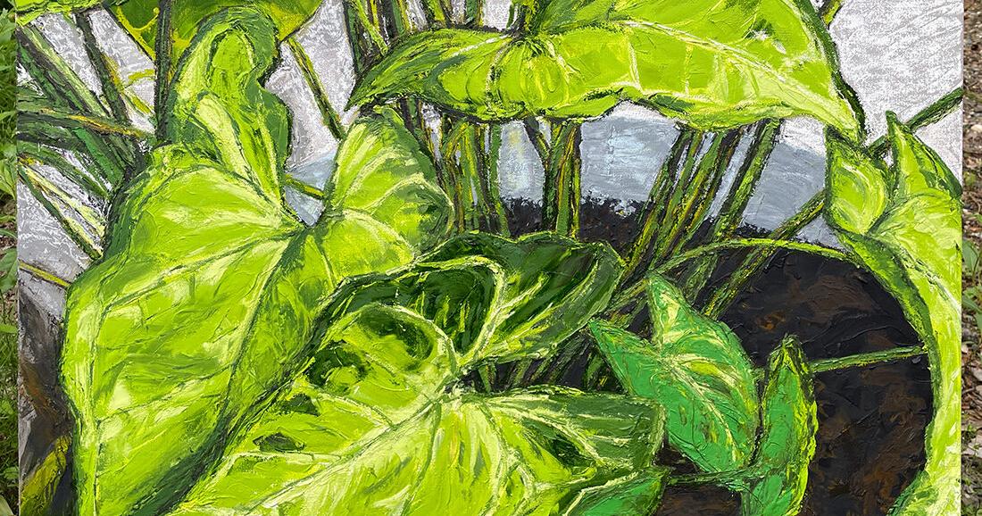 Art exhibition finds inspiration in abundance of houseplants | Sundays ...