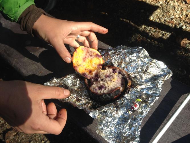 Campsite cookoff: Get inspired with these tasty recipes for a campfire ...