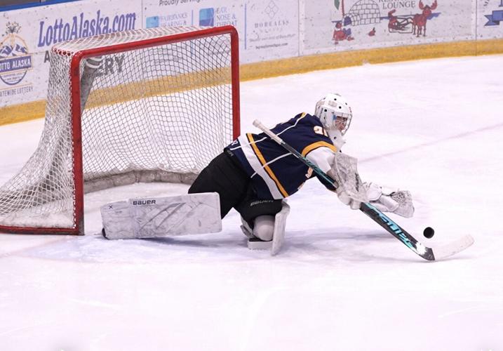 Interior high school hockey roundup: Tri-Valley 1, Monroe Catholic 10 ...