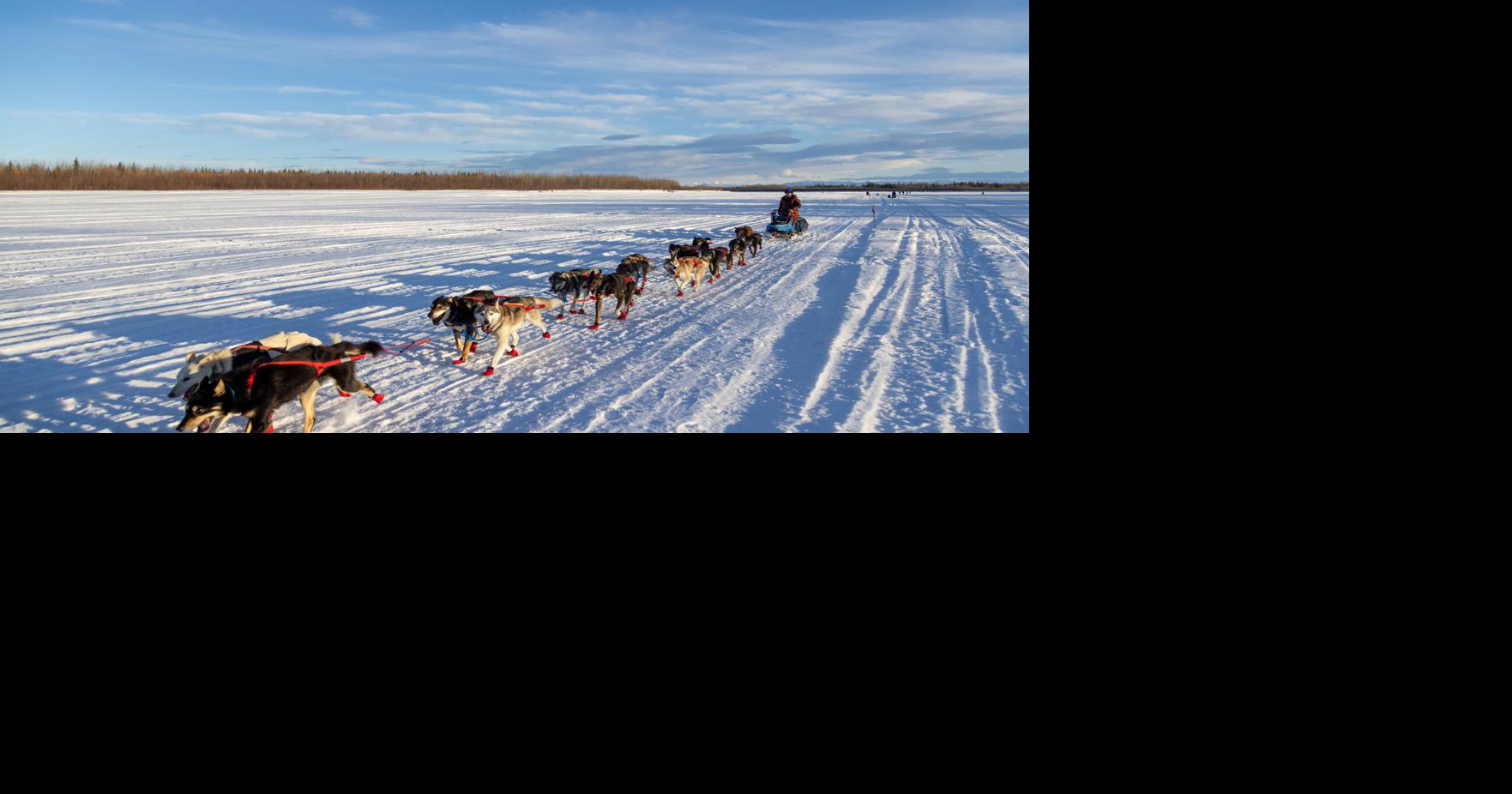 Iditarod update: Jeff Deeter among three more scratches, dog on Daniel ...