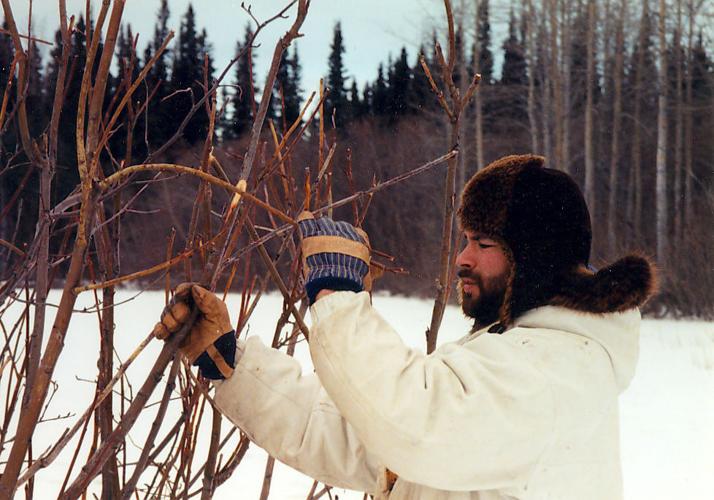 Unit 20A: The most intensively studied and managed moose population in ...