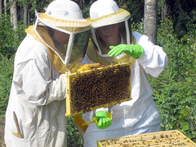 Residents buzz about beekeeping | Local News | newsminer.com