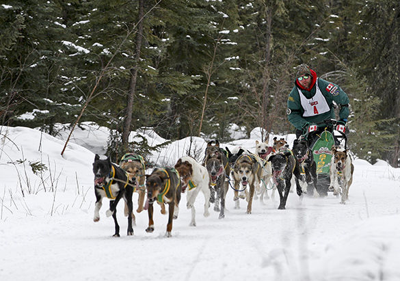 Husband and wife bring competitive spirit to ONAC | Local News ...