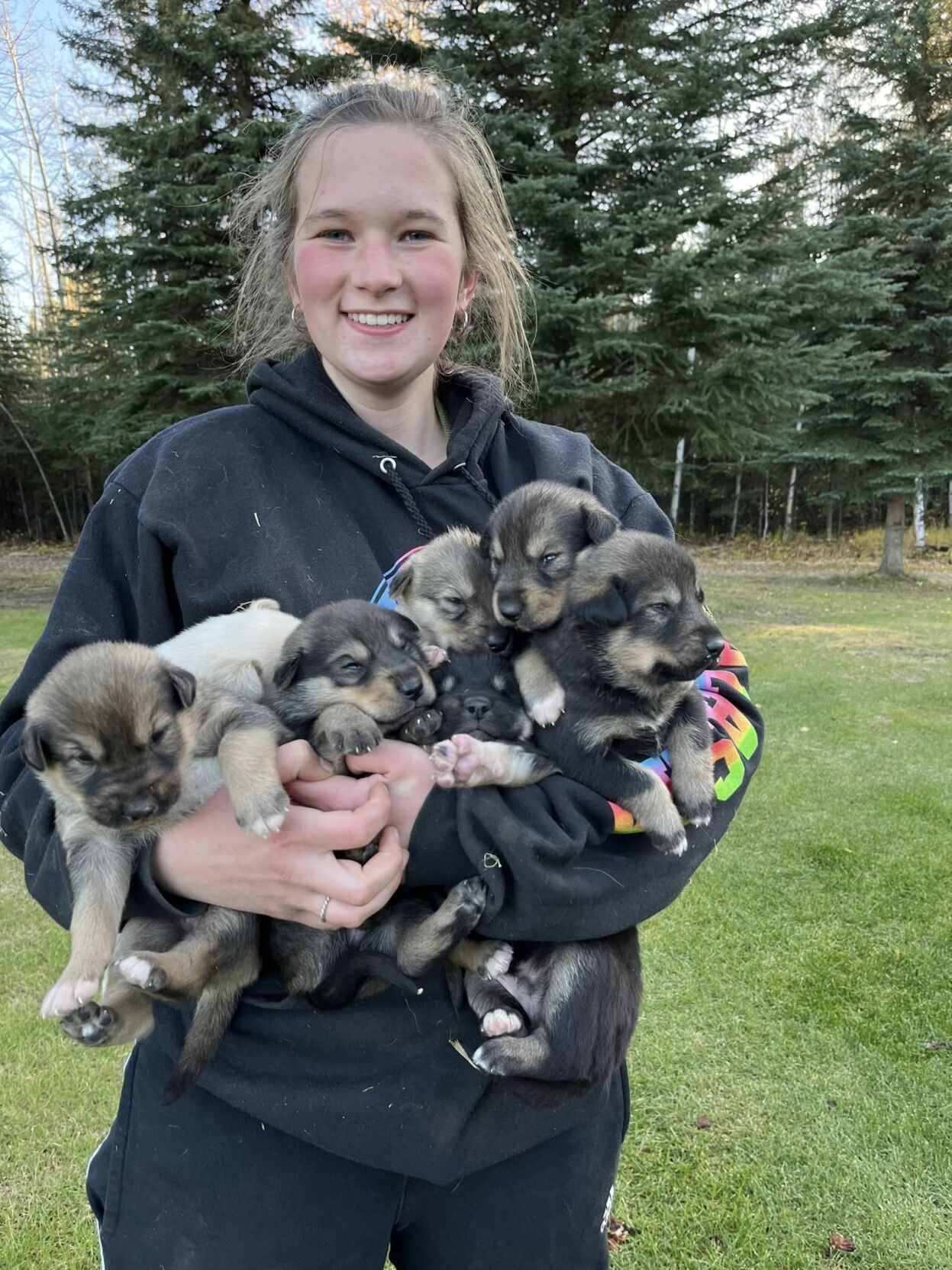 Two-time Jr. Iditarod champ Emily Robinson preparing for upcoming season of mushing | Local ...