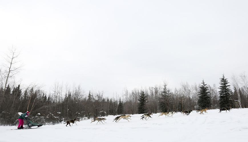 Husband and wife bring competitive spirit to ONAC | Local News ...