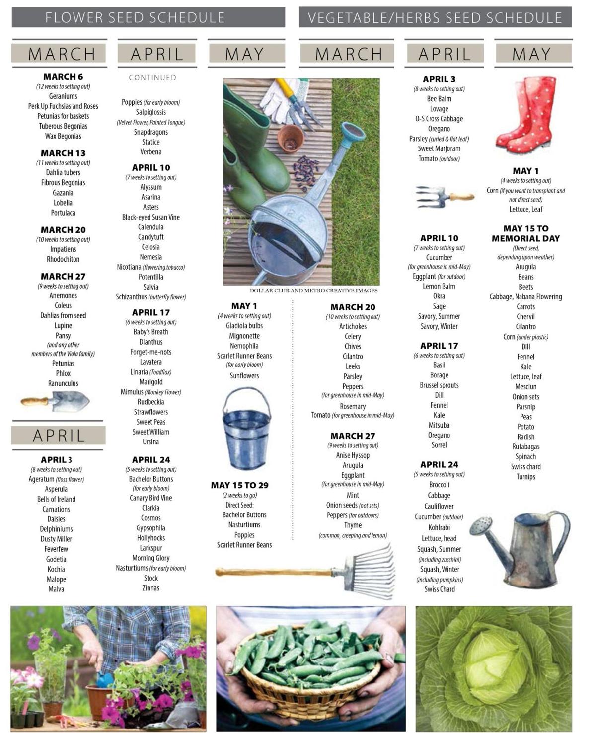 Spring 2022 seed planting chart | Gardening | newsminer.com