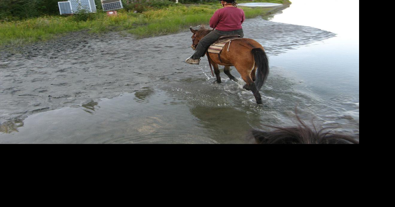 A yucky, mucky mosquito haven — Frog Slu provides an abundance of life ...