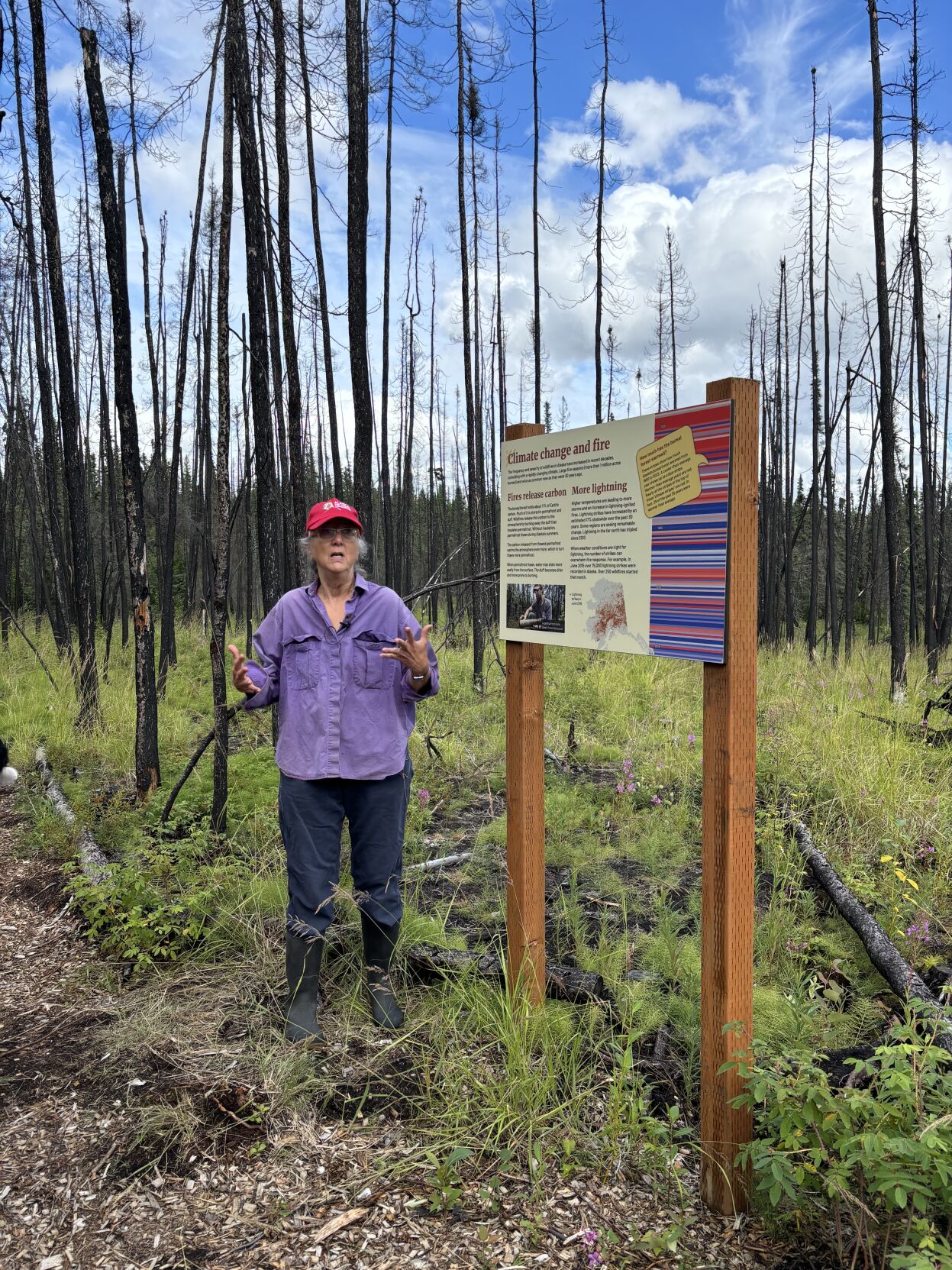 Immersive walk through the Yankovich Road Fire opens at UAF | Local ...
