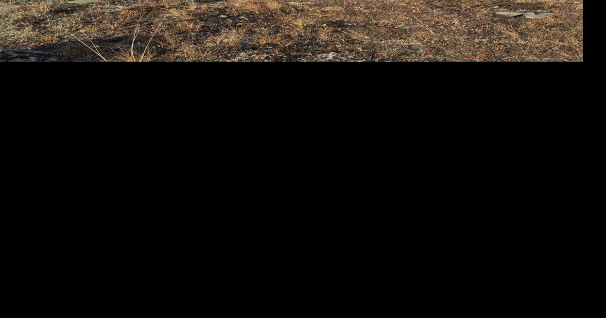 Charlie Dome is a good day hike now that it’s hot springs season ...