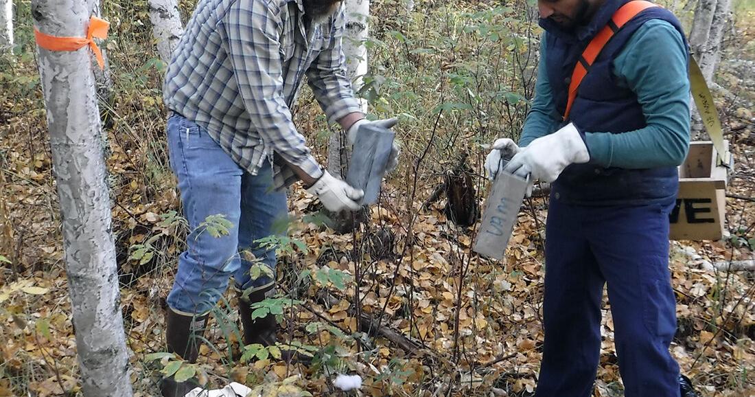 Setting traps to catch an Alaska virus: Alaskapox | Alaska Science ...