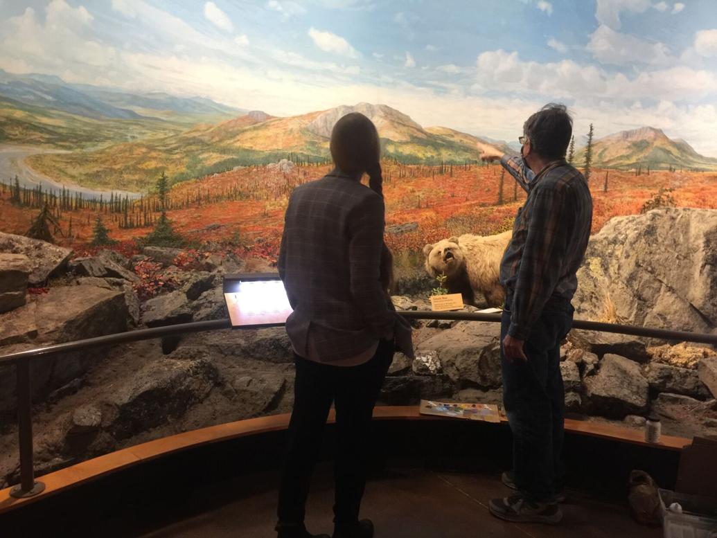 Start your visit at the Morris Thompson Center | Visitors Guide ...