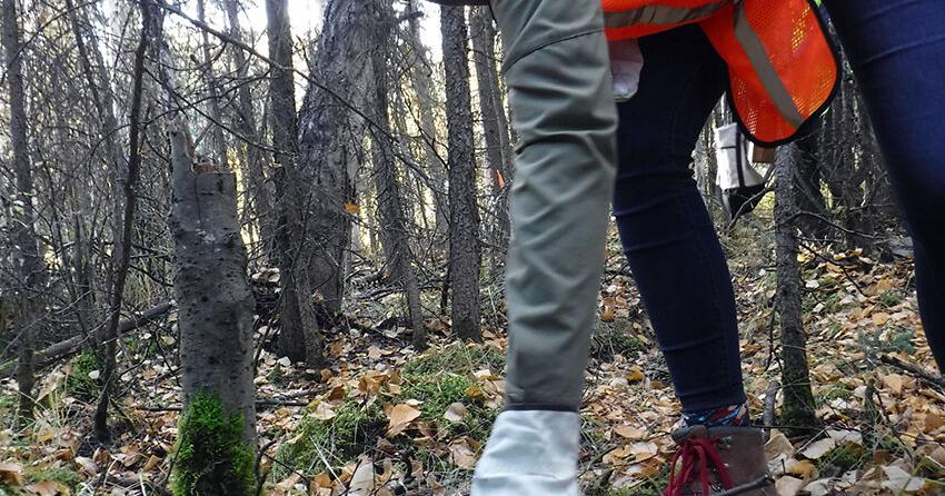 Alaska Supreme Court hears arguments in case involving trapping ...