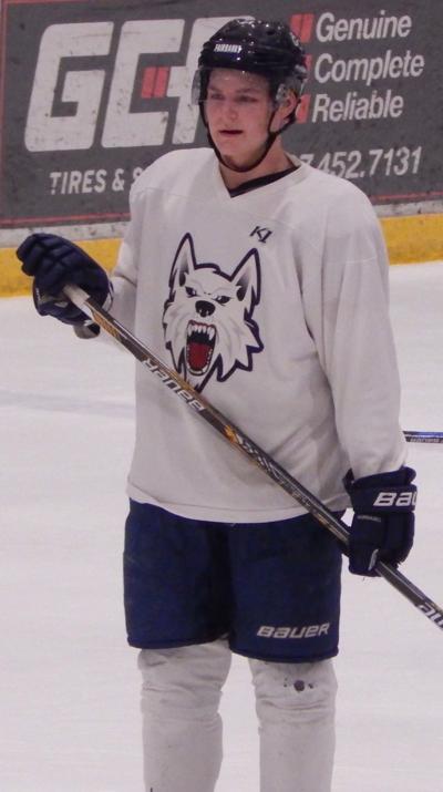 Lucas Erickson’s versatility aids Ice Dogs | Ice Dogs | newsminer.com