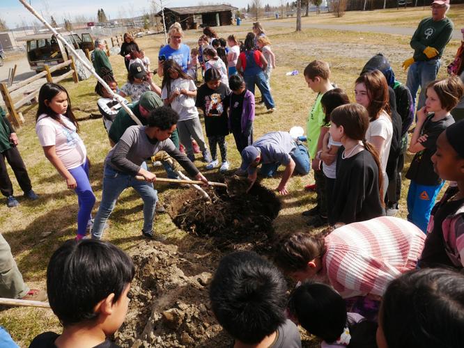 Arbor Day Committee, Denali Elementary plant trees in Growden Park ...
