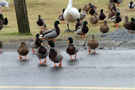 Alaska Daily Life | Featured | newsminer.com