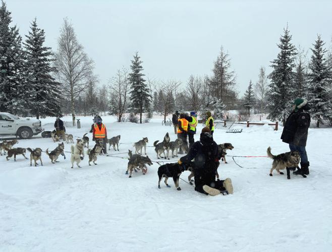 Thousands cheer on dog teams as 2025 Yukon Quest Alaska takes off from ...