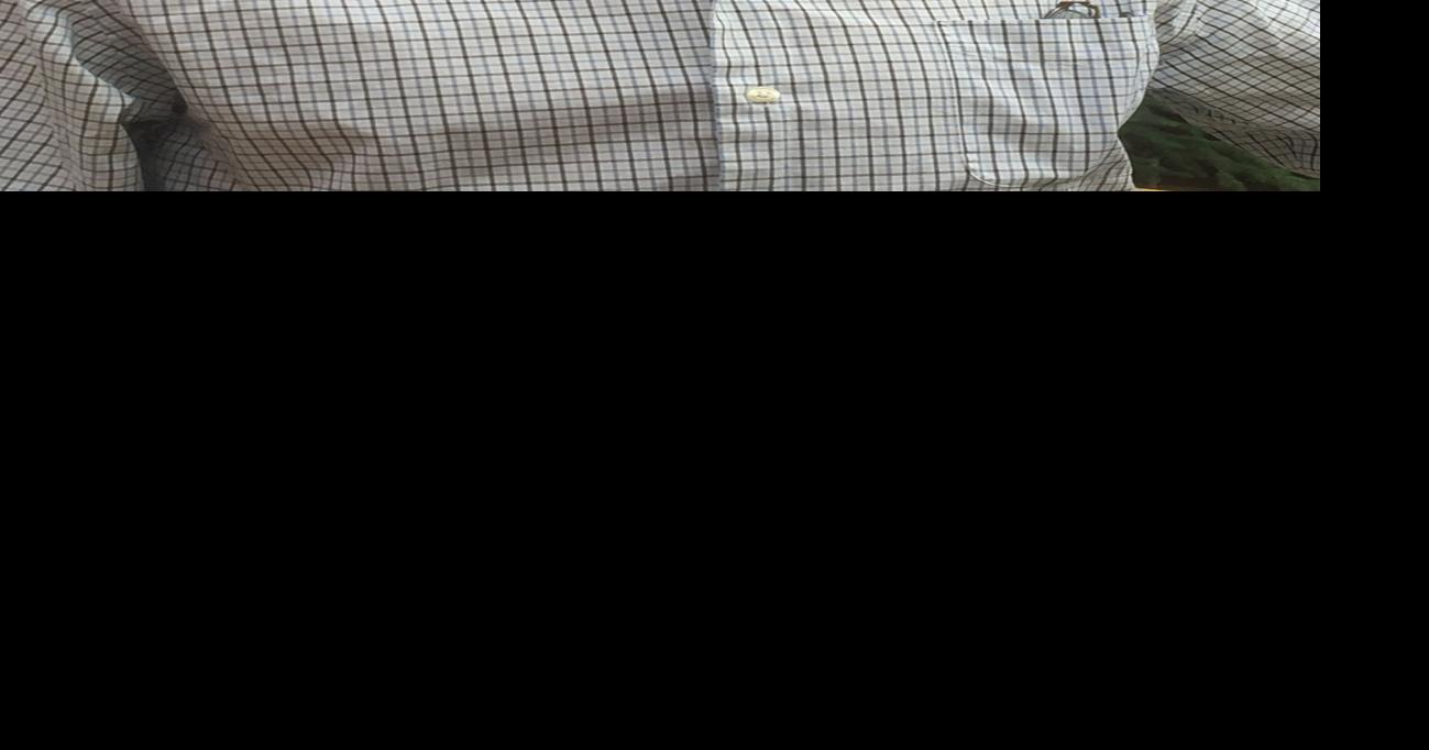 Dunleavy ignored months of testimony, research on budget cuts | Dermot ...