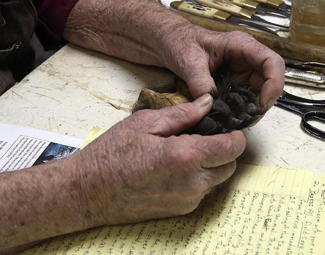 Tips from an Alaska taxidermist on the proper ways to prep a bear ...