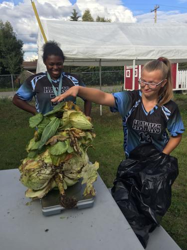 59.5-pound monster-size cabbage takes 1st place in competition | Our ...
