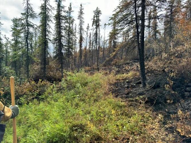 Interior wildfire update: Precipitation and cooler temps moderate fires ...